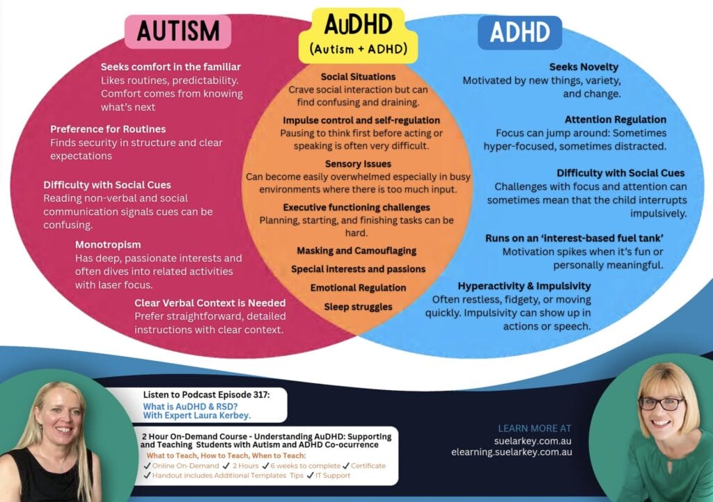 UNDERSTANDING AuDHD: Teaching & Supporting Students with Autism and ...